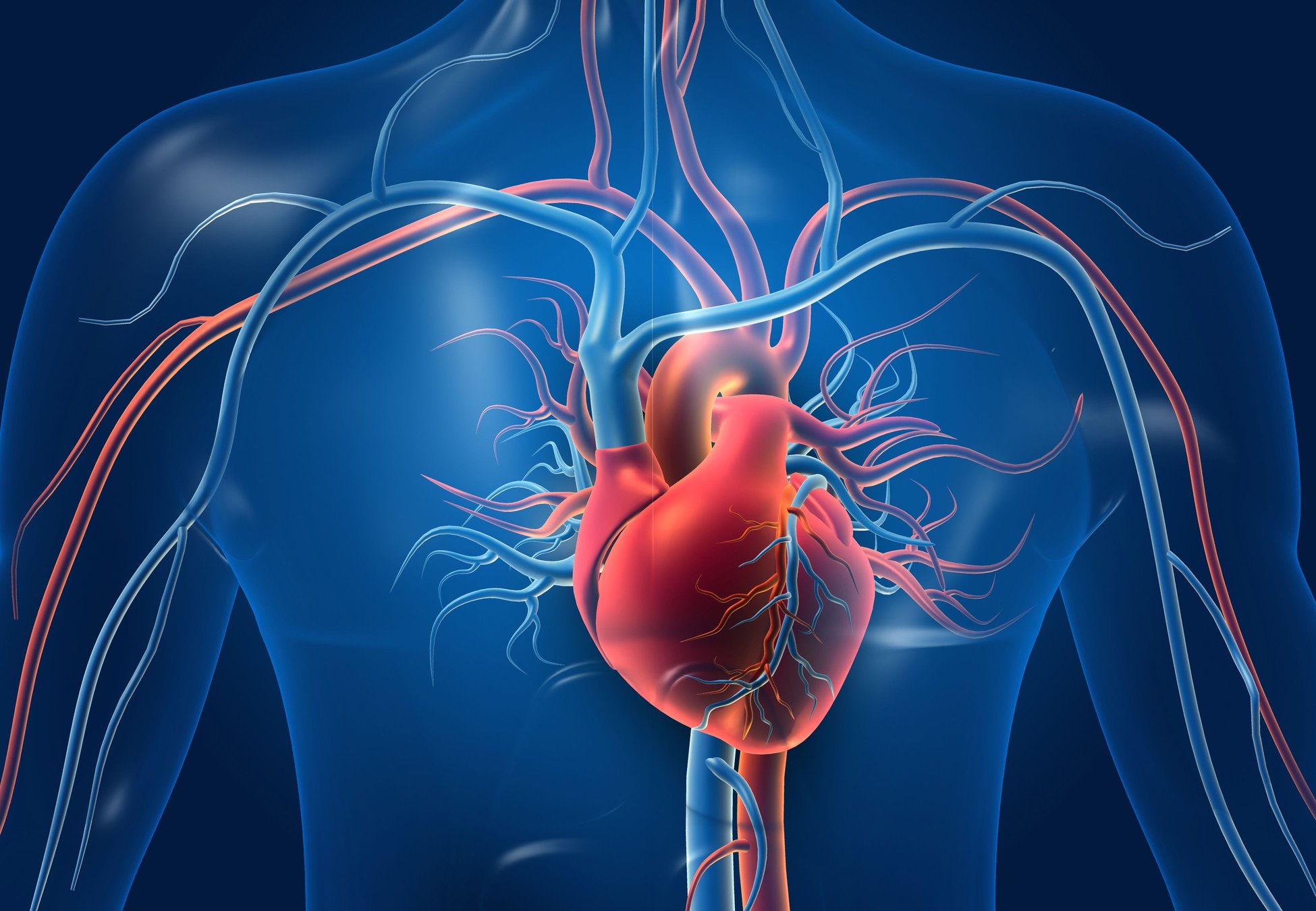 Adderall Effects: Risks Hypertension & Heart Attack | Avenues Recovery