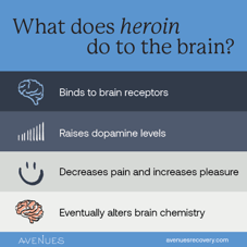 How Does Heroin Affect the Brain? | Avenues Recovery