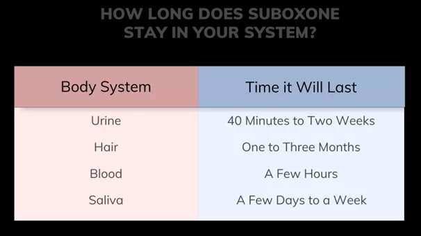 How Long Does Suboxone Stay In Your System? - Avenues Recovery