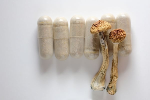 Psilocybin Addiction and Use| Avenues Recovery