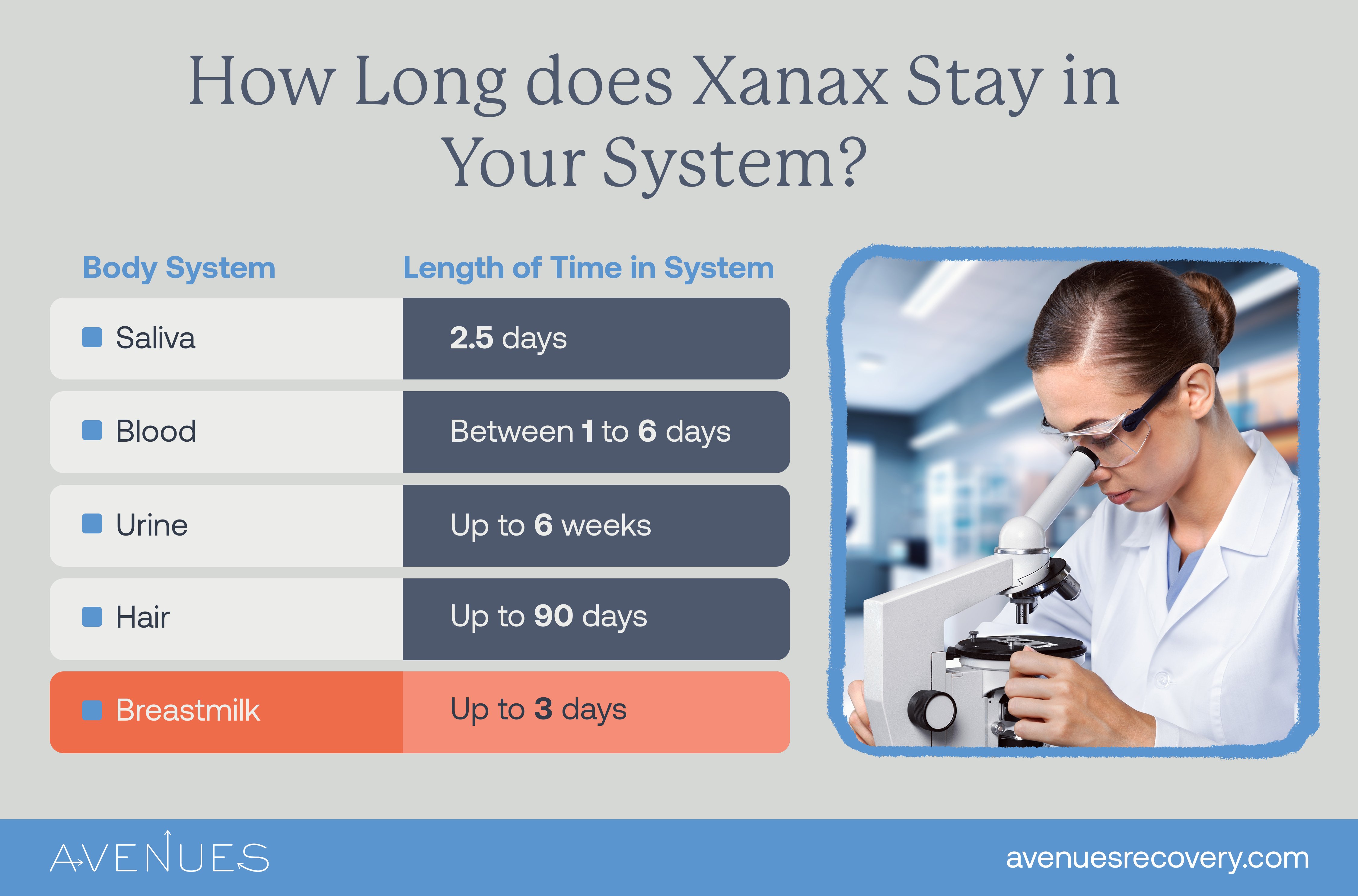 How Long Does Xanax Stay in Your System | Avenues Recovery
