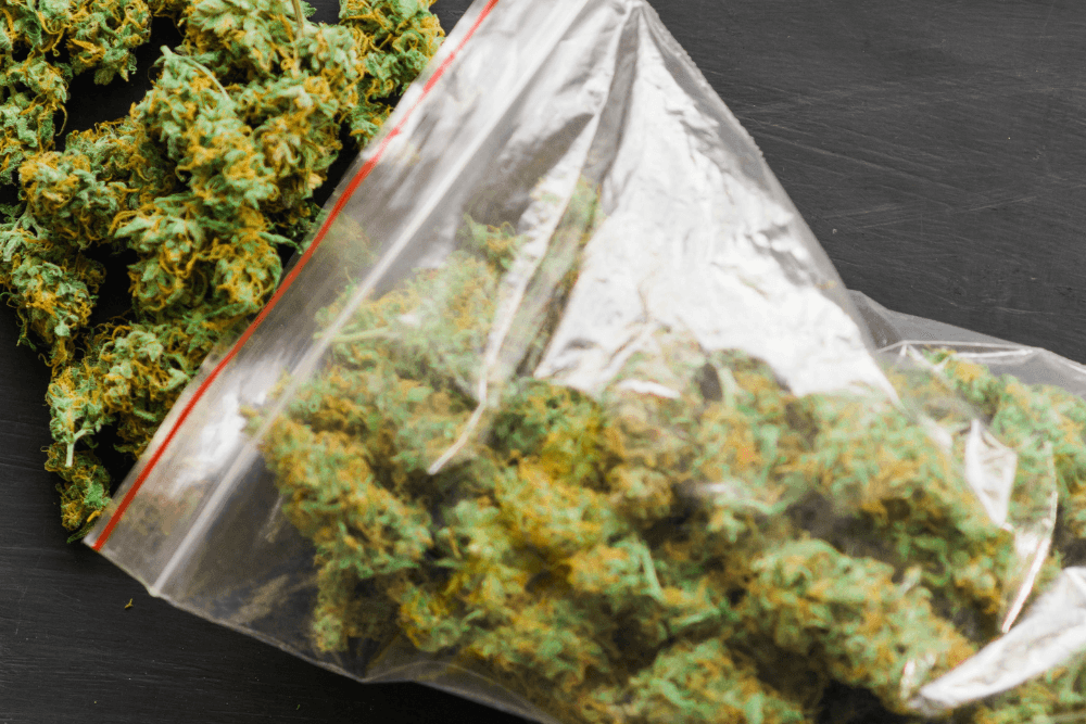 Fentanyl-Laced Weed: What You Should Know | Avenues Recovery