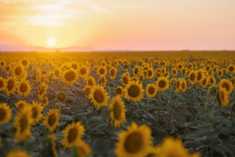 What Is Hot Railing Meth? | Avenues Recovery