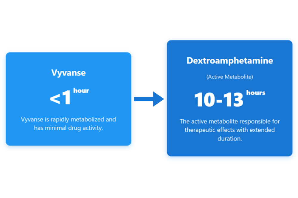 How Long Does Vyvanse Stay In Your System? | Avenues Recovery